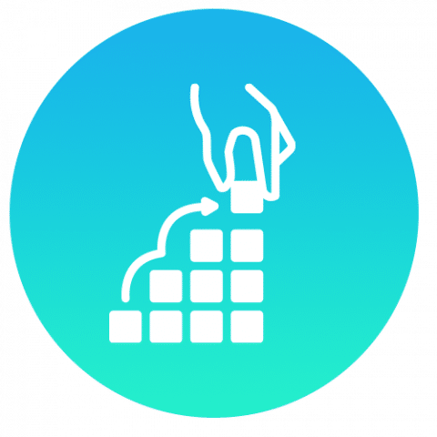 The Academies - Neuroscience-Based Coaching Programs