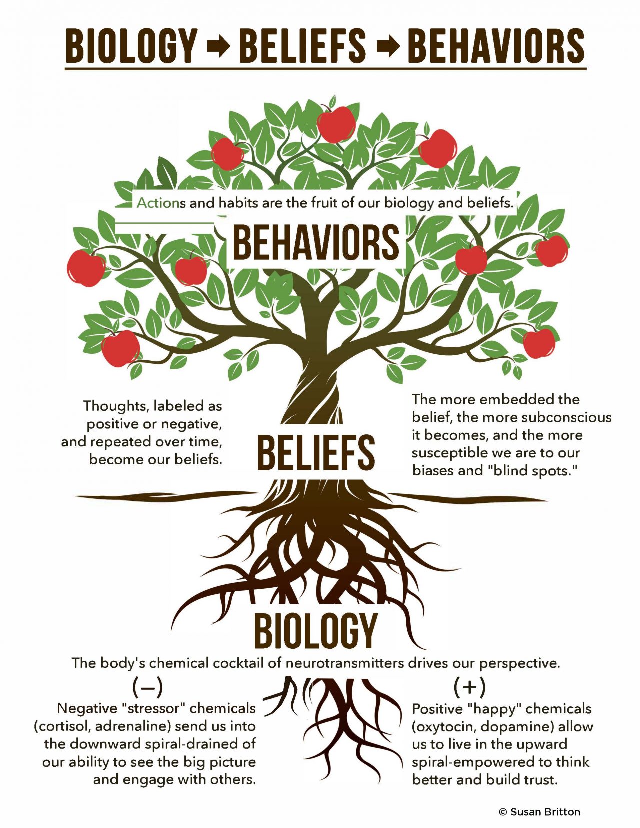 Neuroscience Behind ICF Core Competency #2 - The Academies